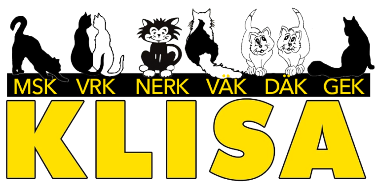 Nyheter – KLISA